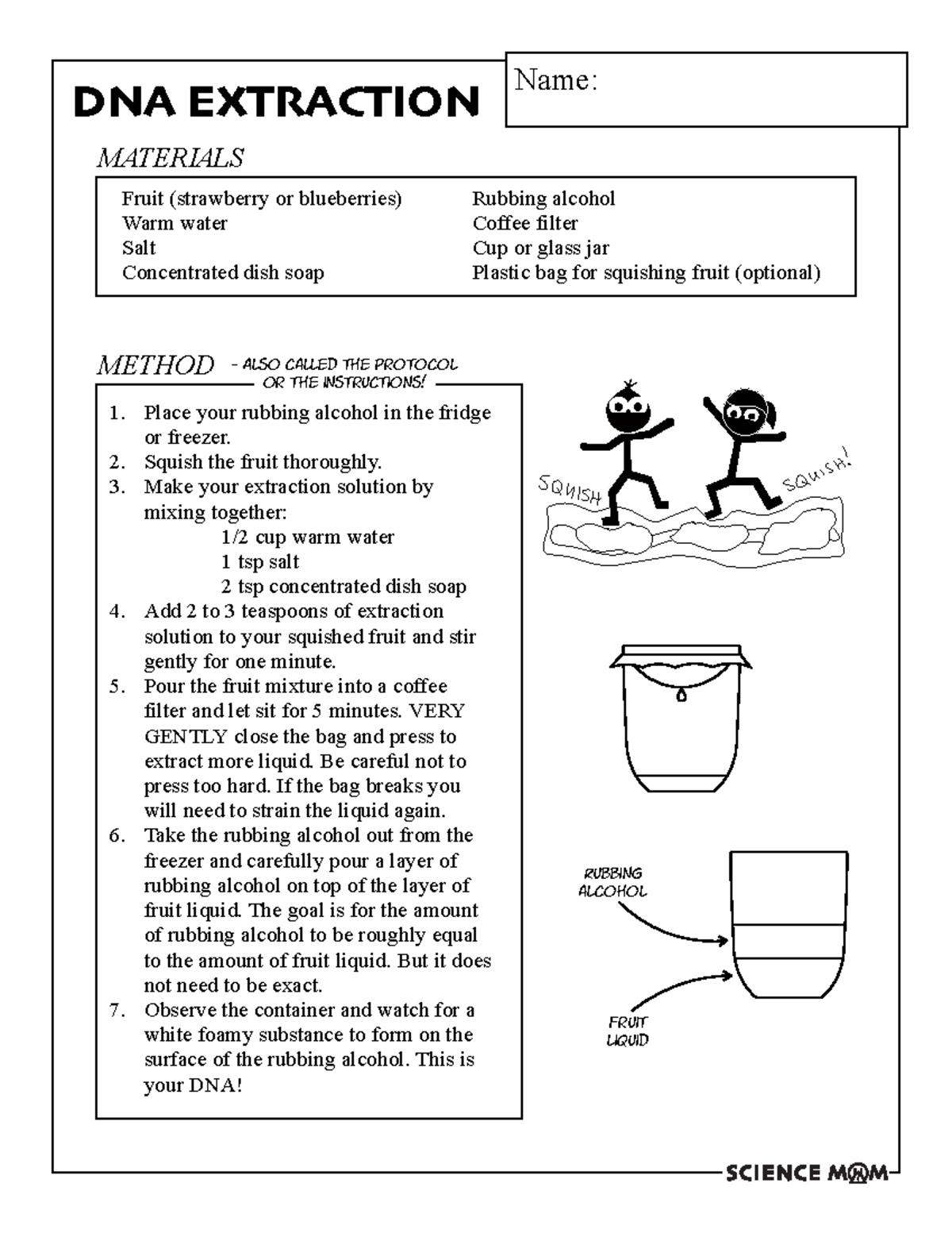 DNA Extraction Experiment: Protocol and Observations for BIO 101 - Studocu