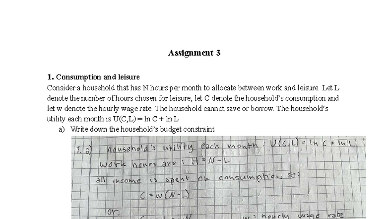 Assignment 3-2: Consumption, Leisure, and Savings Analysis - Studocu