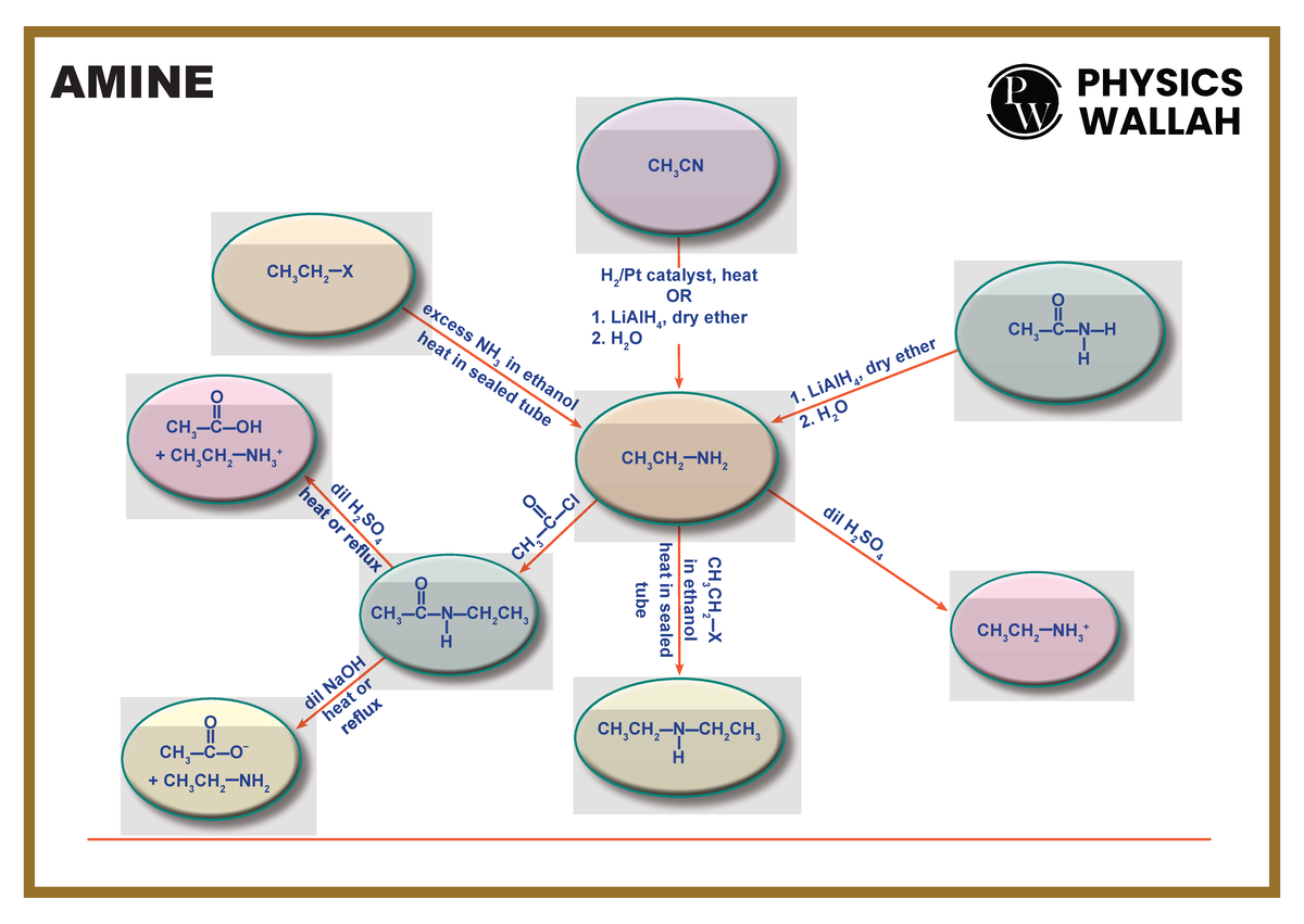 Amines Mind Map: CH3CN, CH3CH2, and Reactions Overview - Studocu