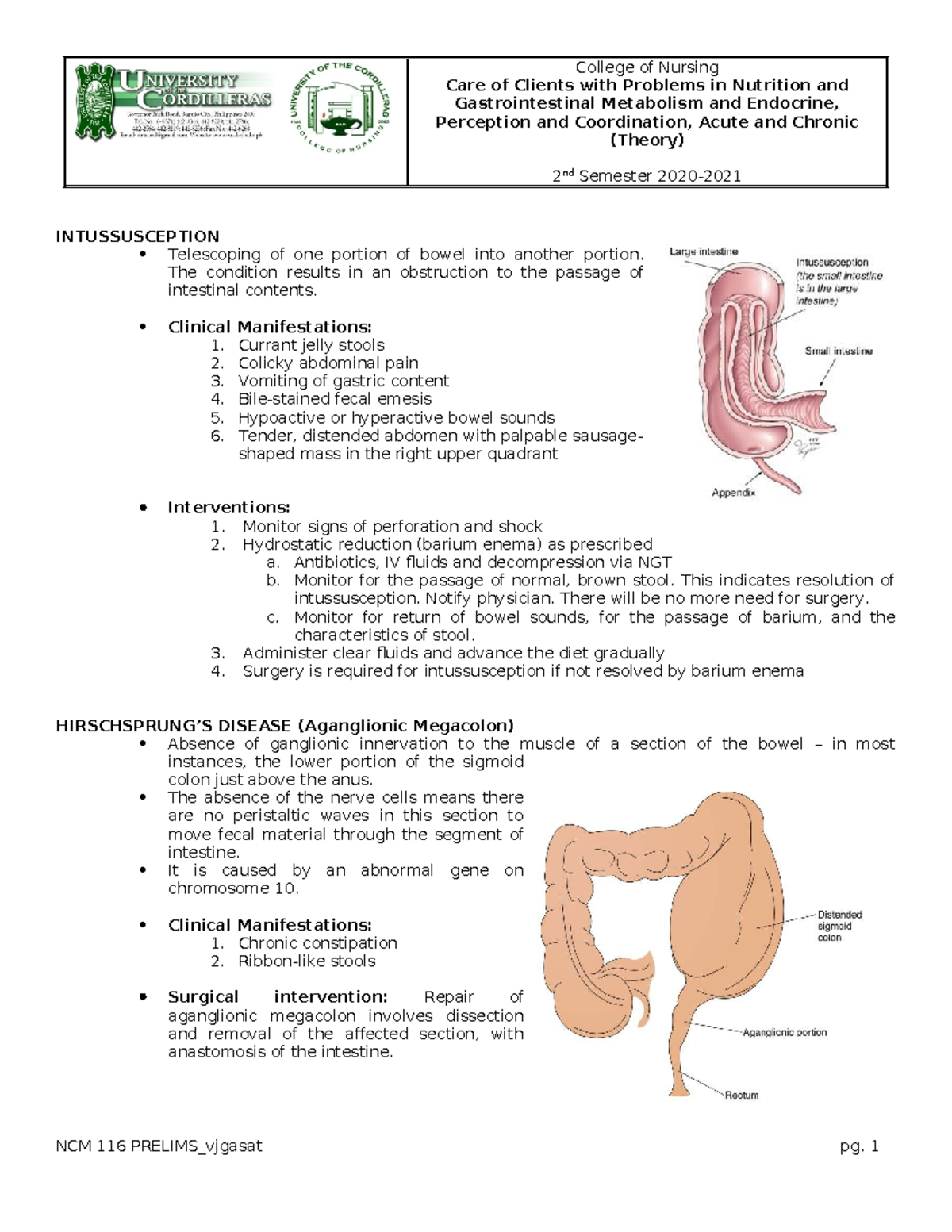 NCM 116 Prelims: Intussusception & Hirschsprung's Disease Overview ...