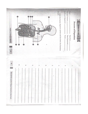Bedmaking Return Demonstration Lesson - Bed Making Return Demonstration ...