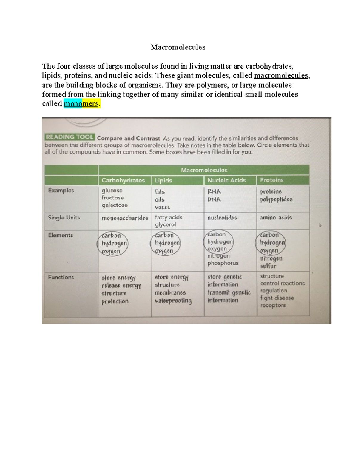 Biology 101: Macromolecules - Structure and Functions Explained - Studocu