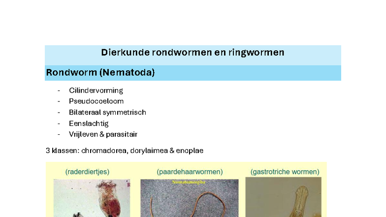 Dierkunde: Rondwormen en Ringwormen (Nematoda) Samenvatting - Studocu