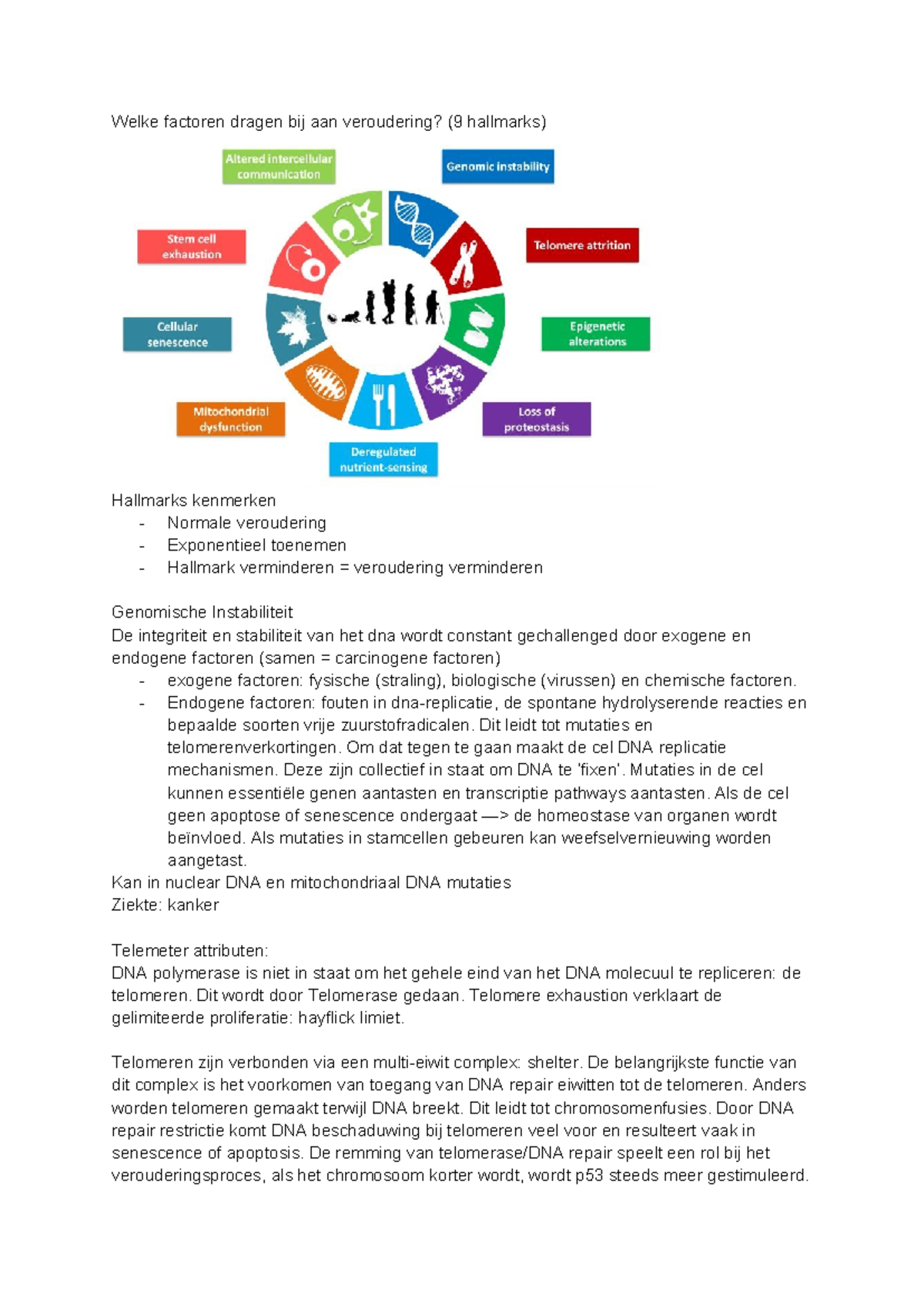 Casus 13: Factoren en Theorieën van Veroudering en Hun Impact - Studeersnel