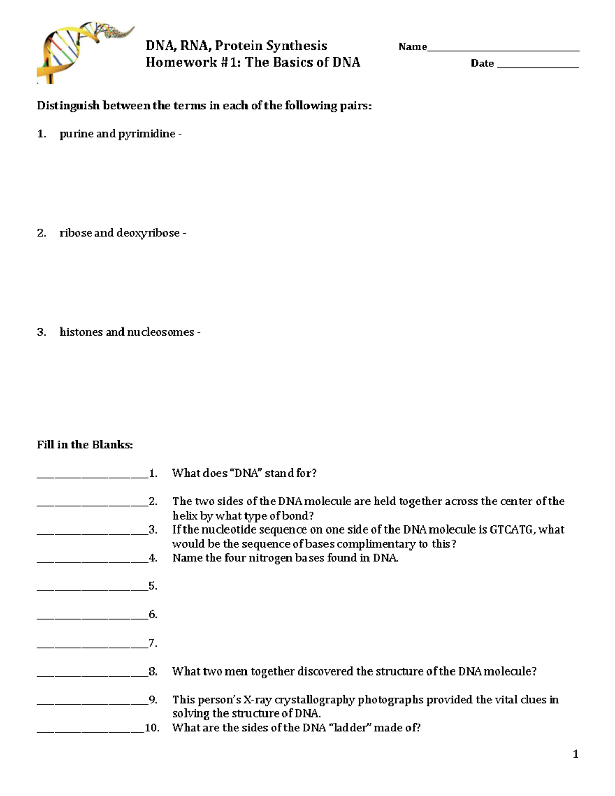 DNA Basics Homework - DNA, RNA, Protein Synthesis Name