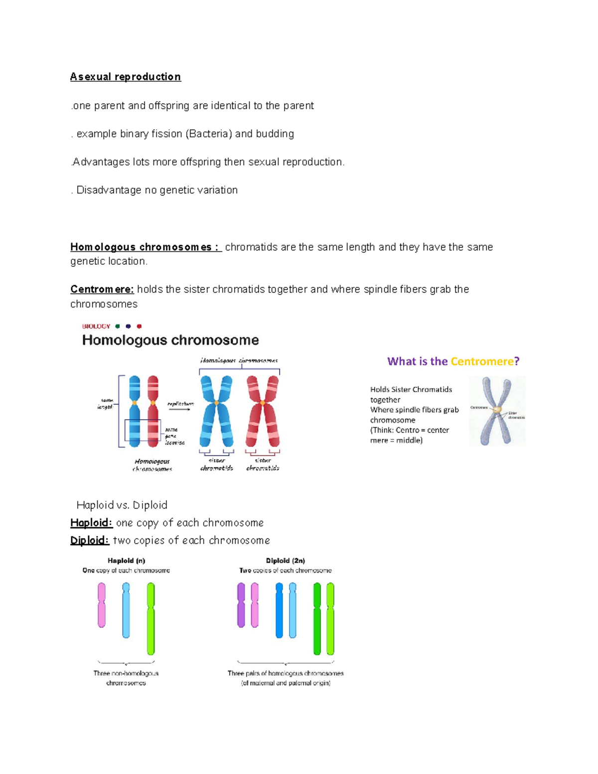 Biology 101: Mitosis & Meiosis Review Notes - Studocu