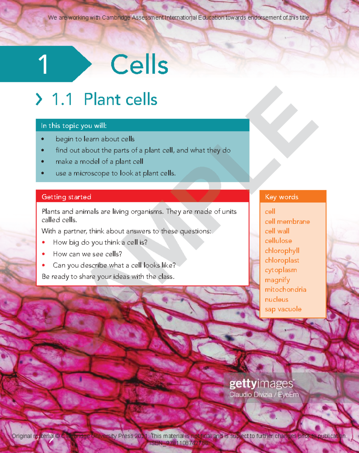 Cambridge Science Year 7: Cells and Their Functions - Studocu