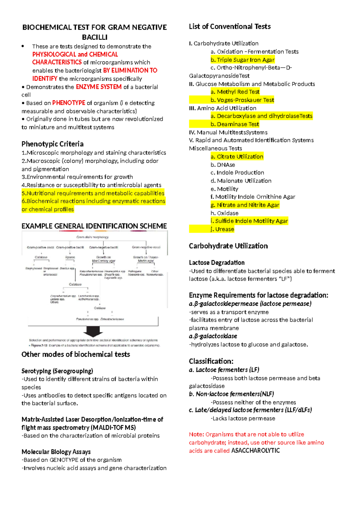 Biochemical Tests for Gram-Negative Bacilli: Identification Methods ...