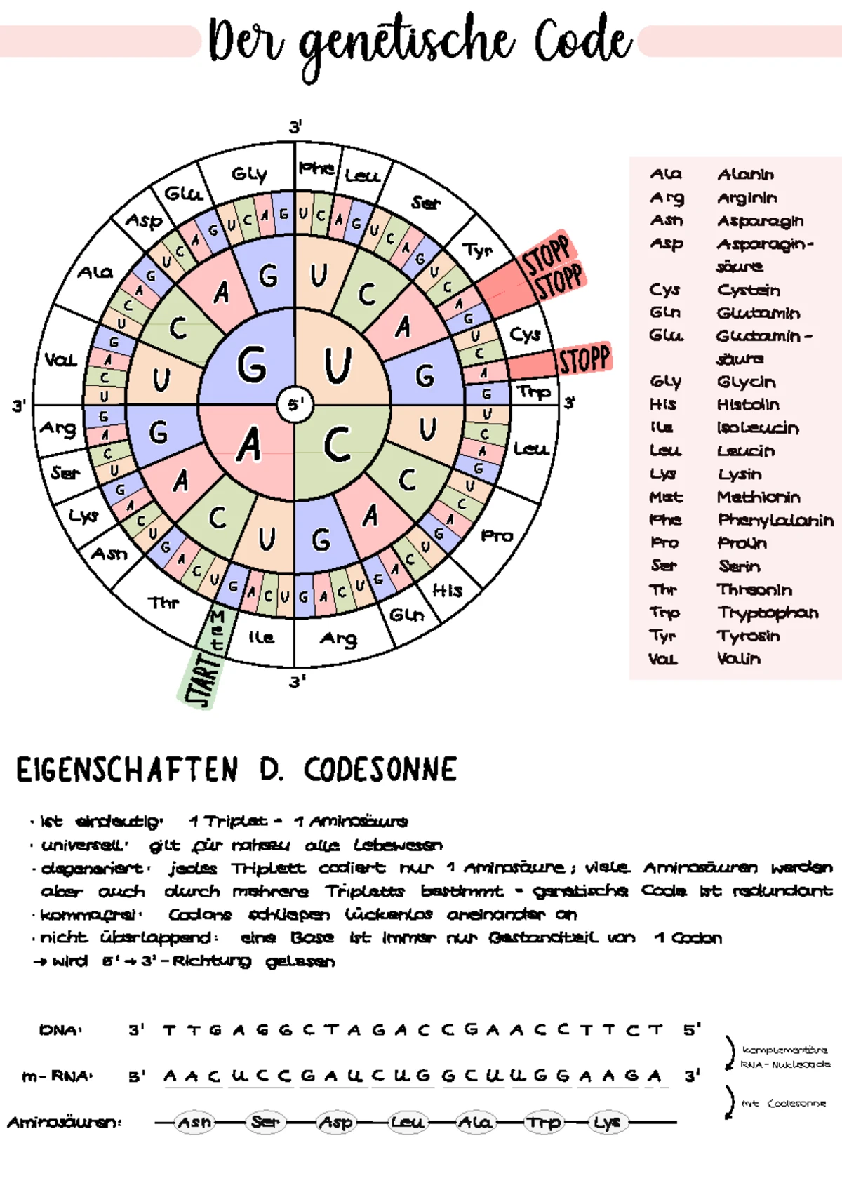 Hurrelmann (Entwicklungsaufgaben) - Hurrelmann Entwicklungsaufgaben ...