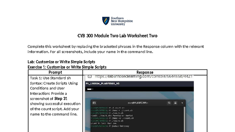 CYB 300 Module 2 Lab Worksheet: Script Customization & Execution - Studocu