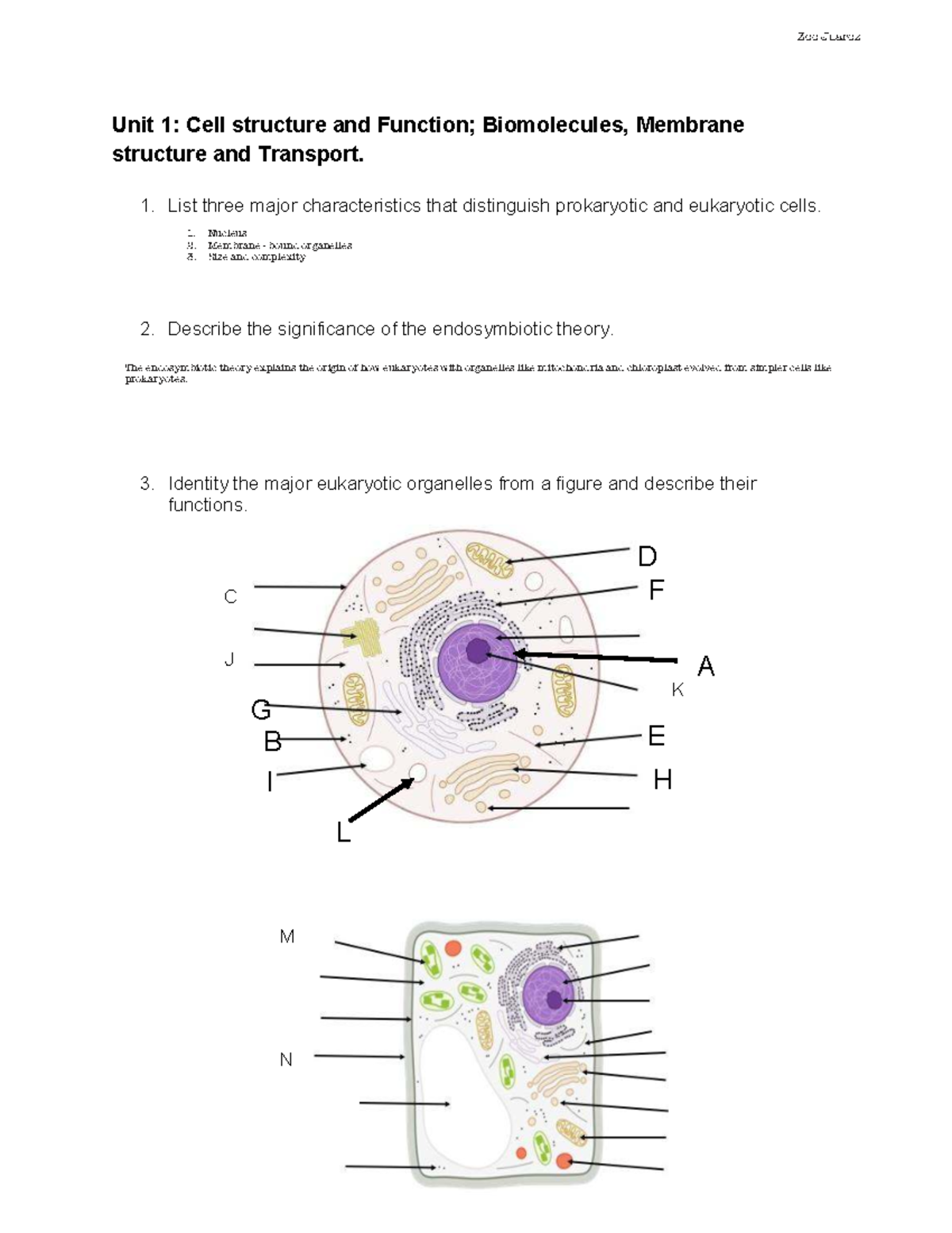 Unit 1: Cell Structure and Function Lecture Notes - Studocu