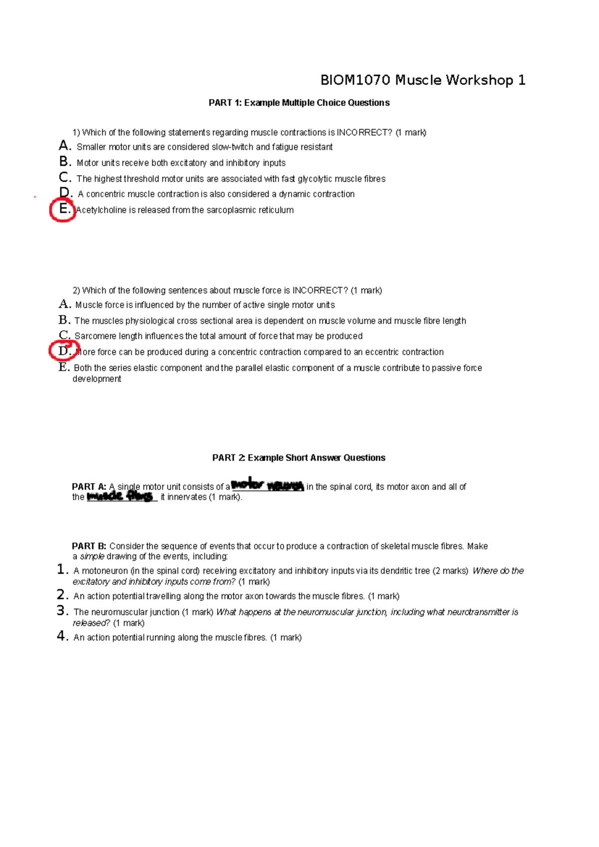 BIOM1070 Muscle Workshop 1: MCQs and Short Answer Practice - Studocu