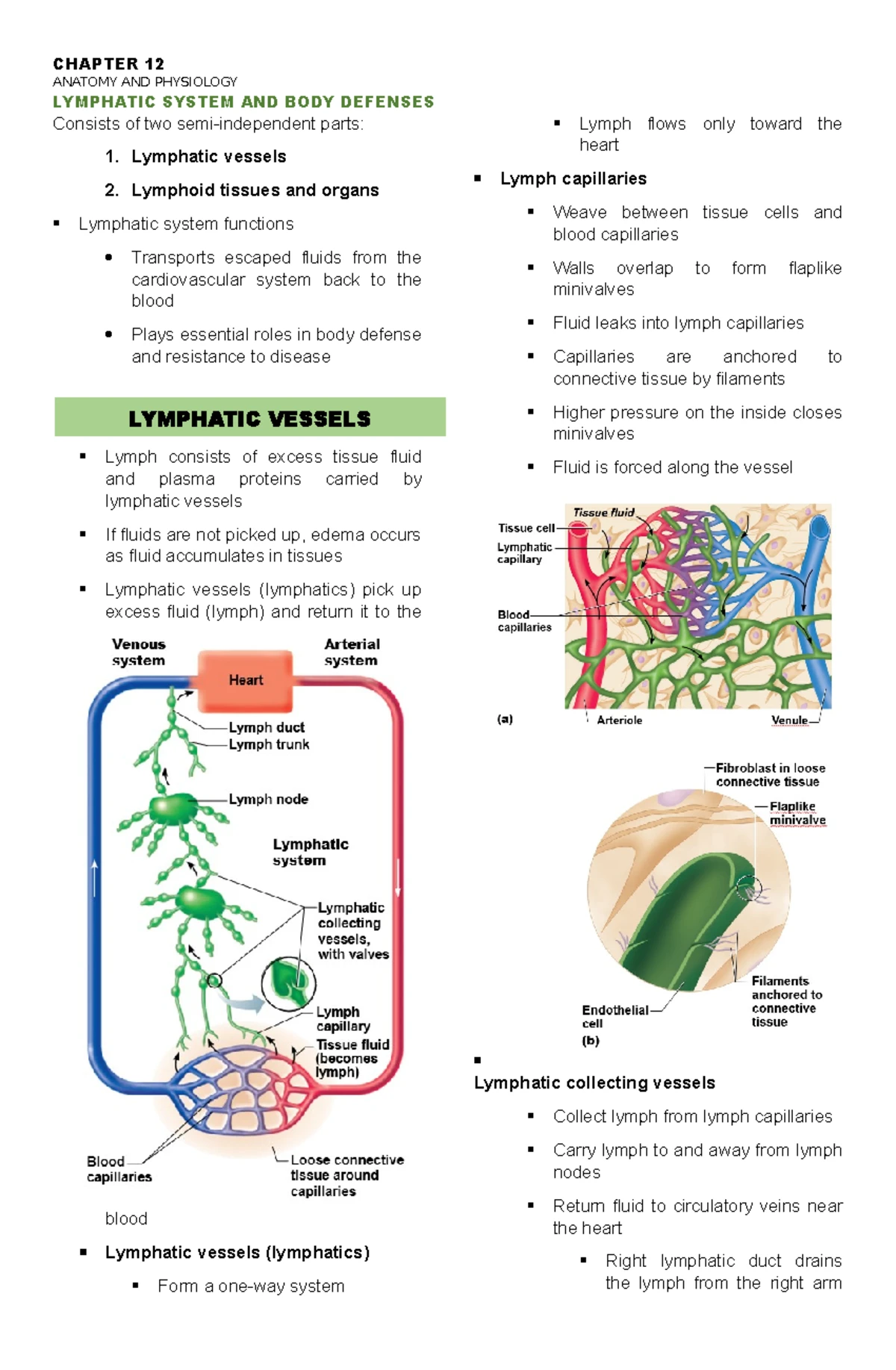 Lymph System Transes - LYMPHATIC SYSTEM Fluid balance. The lymphatic ...