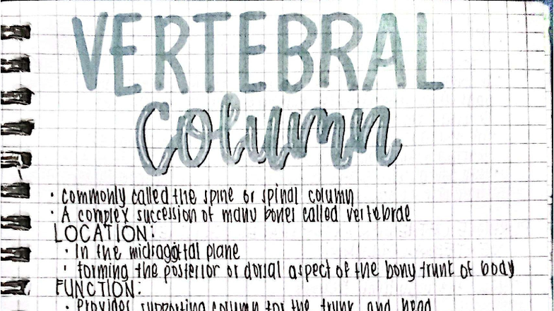 FRAP 101 Midterm Lecture Notes on the Vertebral Column and Anatomy ...