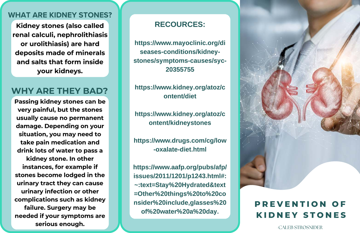 Kidney Stones - nutritional pamphlet assignment - Kidney stones (also ...
