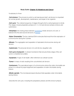 Study Guide: CH 7 - DNA Structure & Replication Overview - Study Guide ...