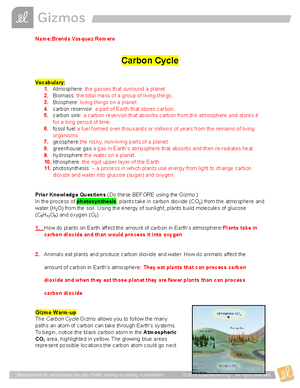 Answers to Pangaea Virutial Gizmos Lab - Name : Building Pangaea Define ...