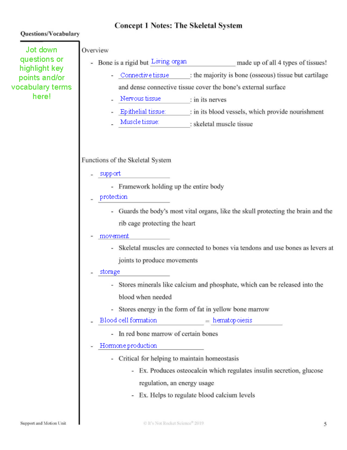 BIO101 - Fill in the Blank Notes on Bone Structure and Function - Studocu