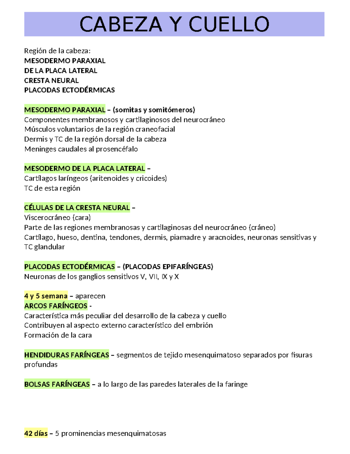 Cabeza Y Cuello - CABEZA Y CUELLO Región de la cabeza: MESODERMO ...