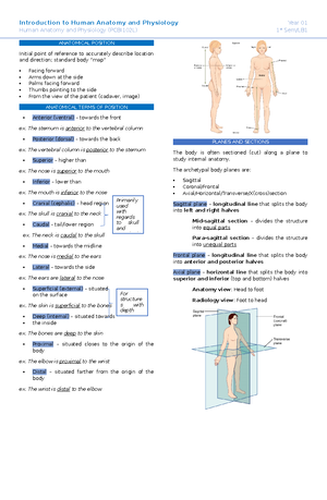 Nervous System Overview: Structure, Function, and Organization - Studocu
