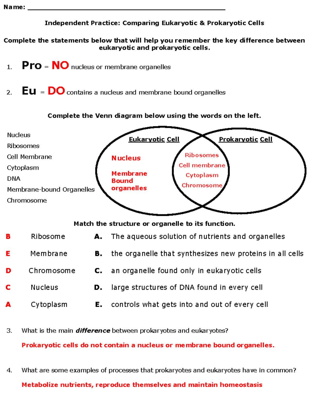 Difference Between Prokaryotic And Eukaryotic Cell Venn Diagram