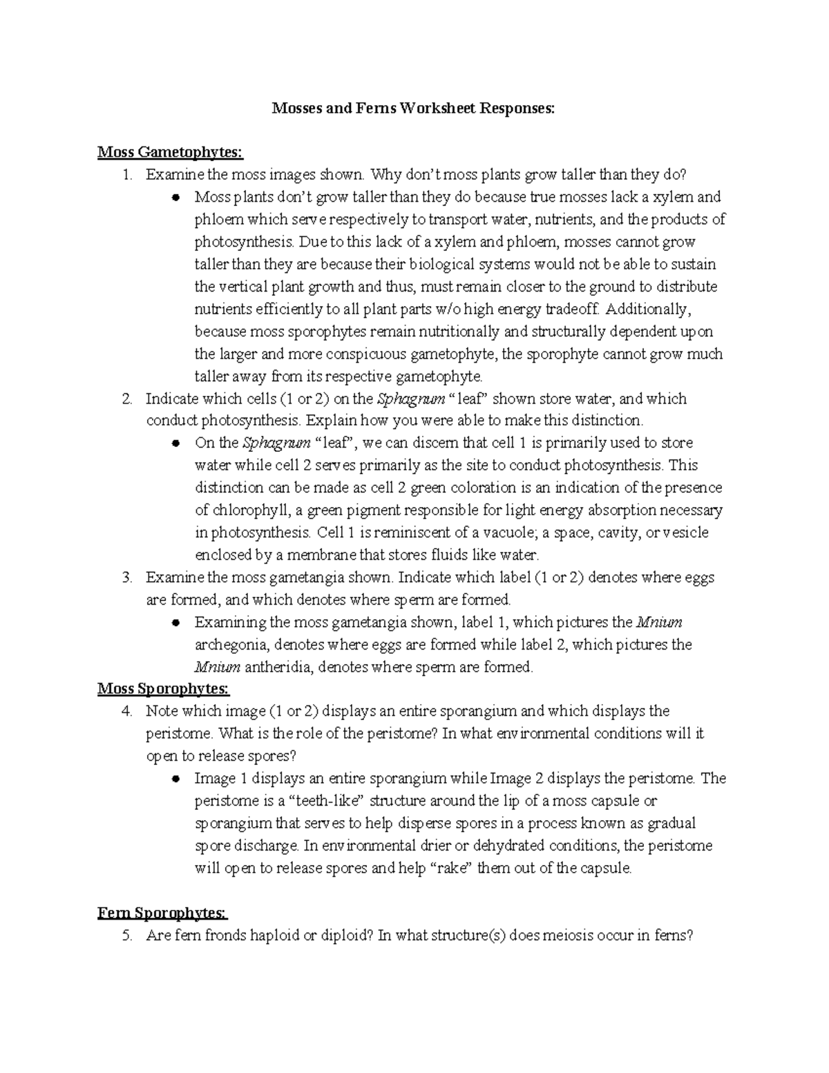 General Biology 193 Lab - Mosses and Ferns Worksheet Answers - Mosses ...