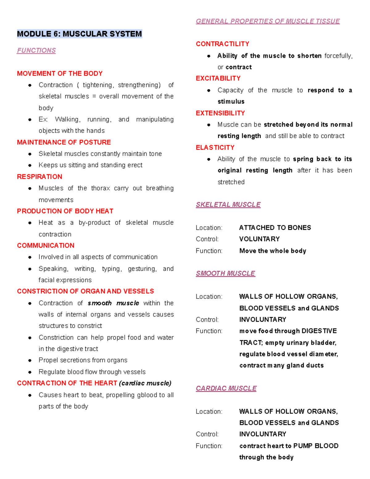 Muscular system - MODULE 6: MUSCULAR SYSTEM FUNCTIONS MOVEMENT OF THE ...