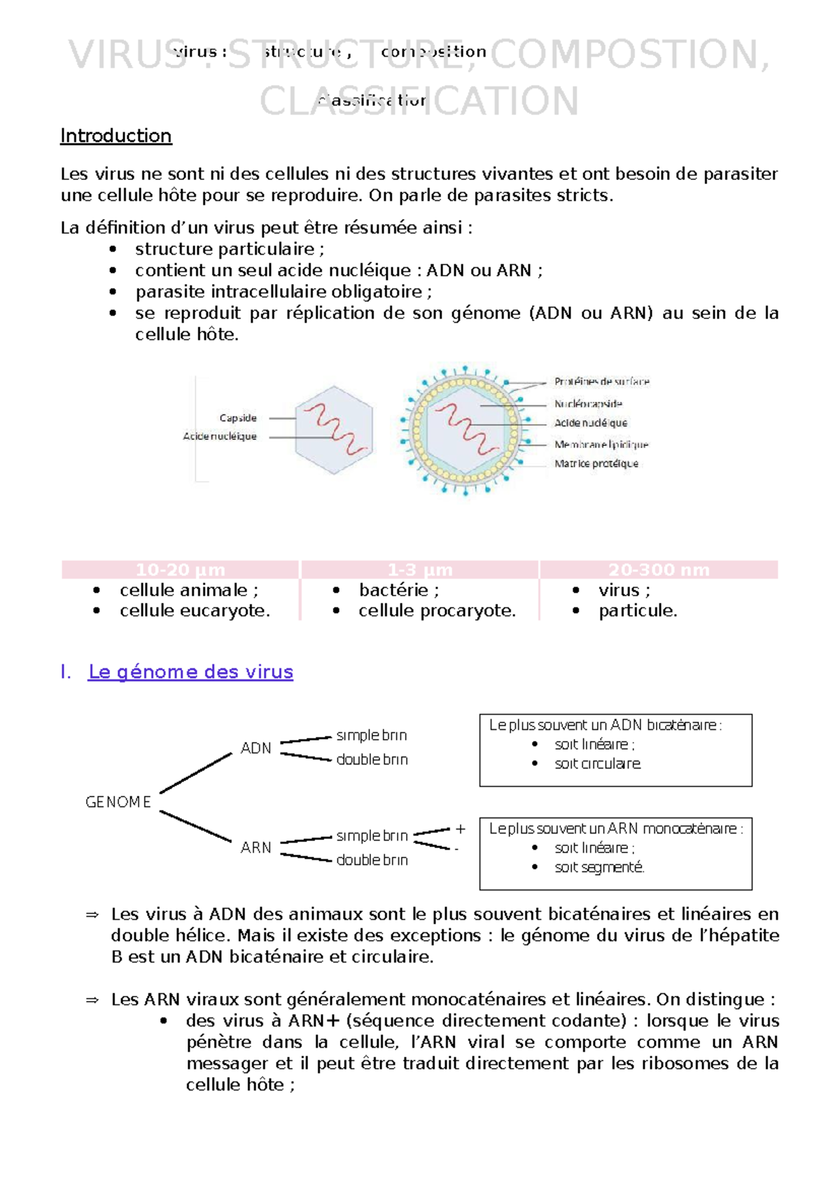 VIRUS : STRUCTURE, COMPOSITION ET CLASSIFICATION - NOTES - Studocu