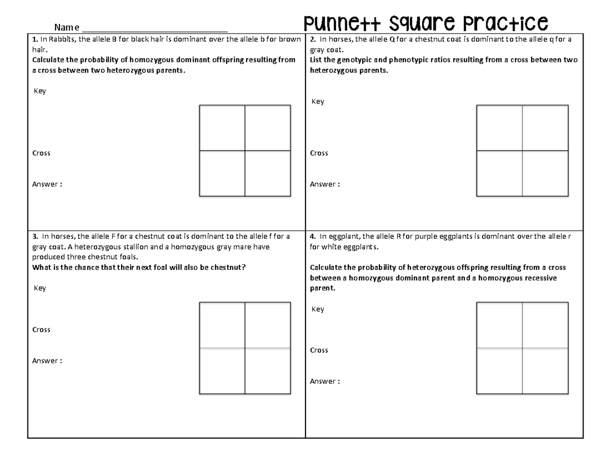 Punnett Square Practice: Genetics Probability Calculations - Studocu