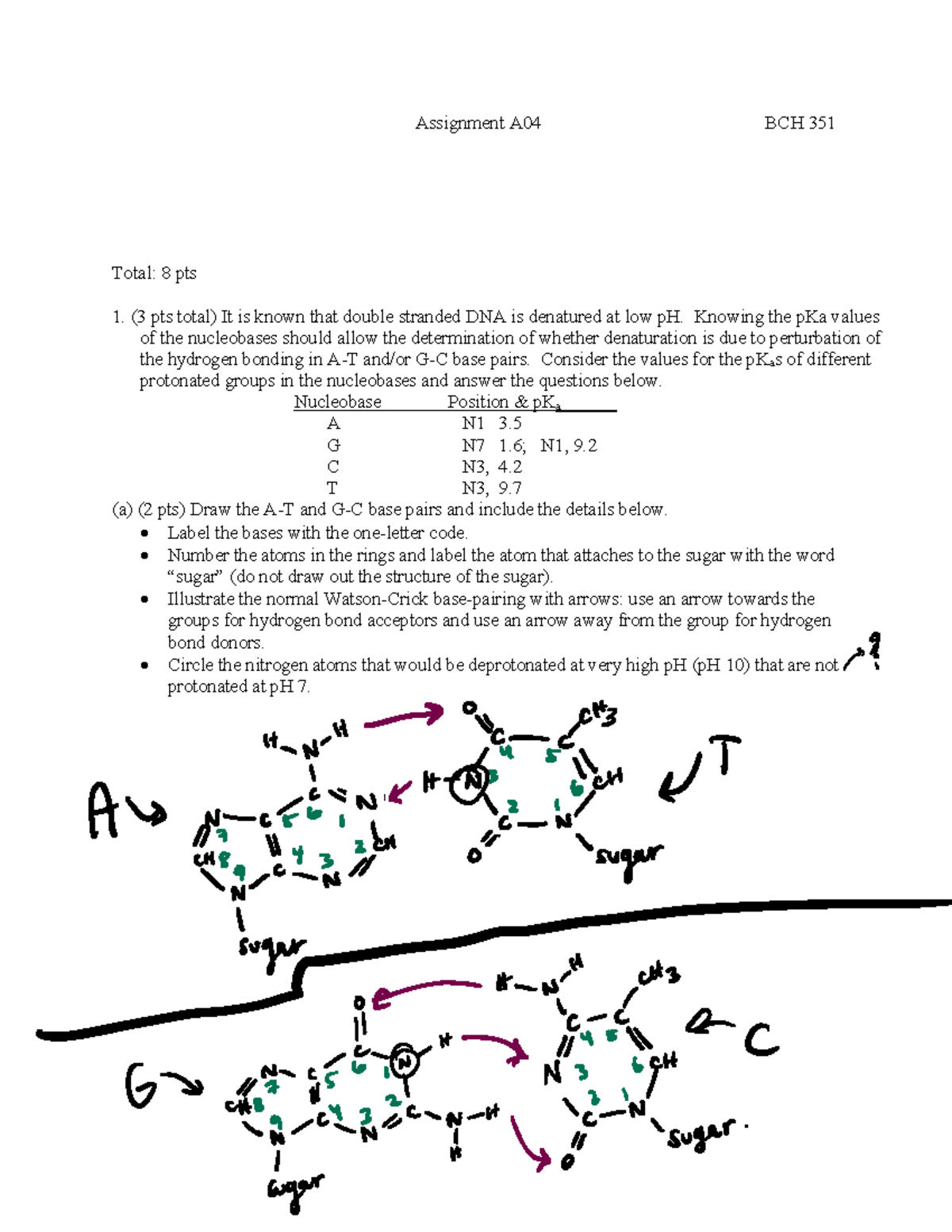 Biochemistry A04: Base Pair Dynamics and Lipid Structures at pH 7 - Studocu