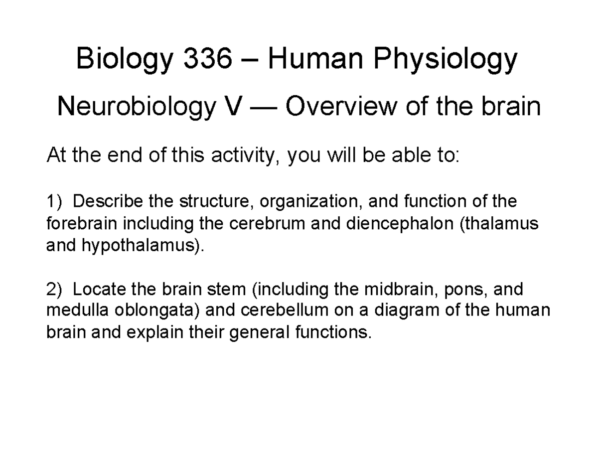 Biology 336 Lecture Notes: Neurobiology V - Overview of the Brain - Studocu