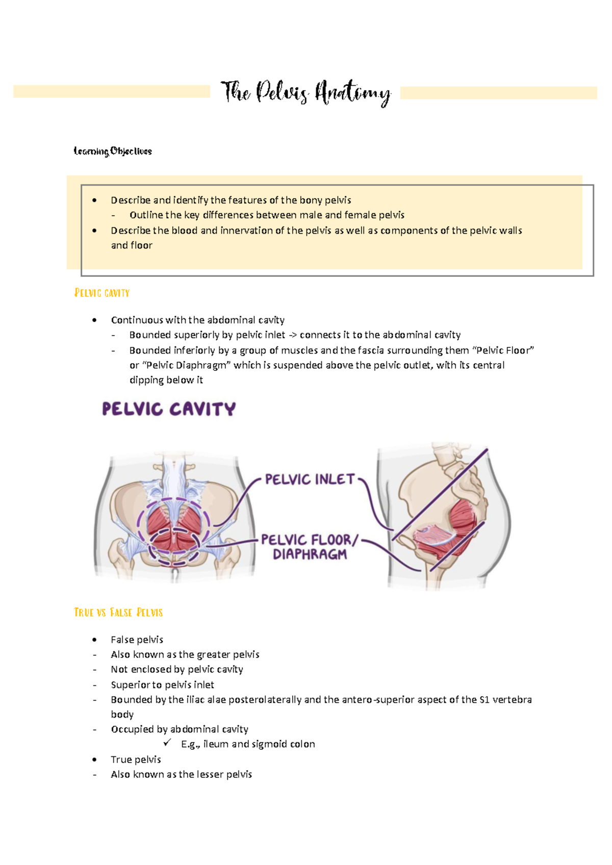 Pelvis Anatomy Overview: Key Features & Differences in M/F Pelvis - Studocu
