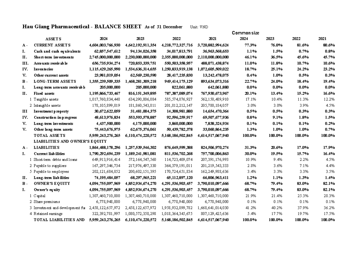 DHG 2024 Common Size Balance Sheet Analysis - Studocu