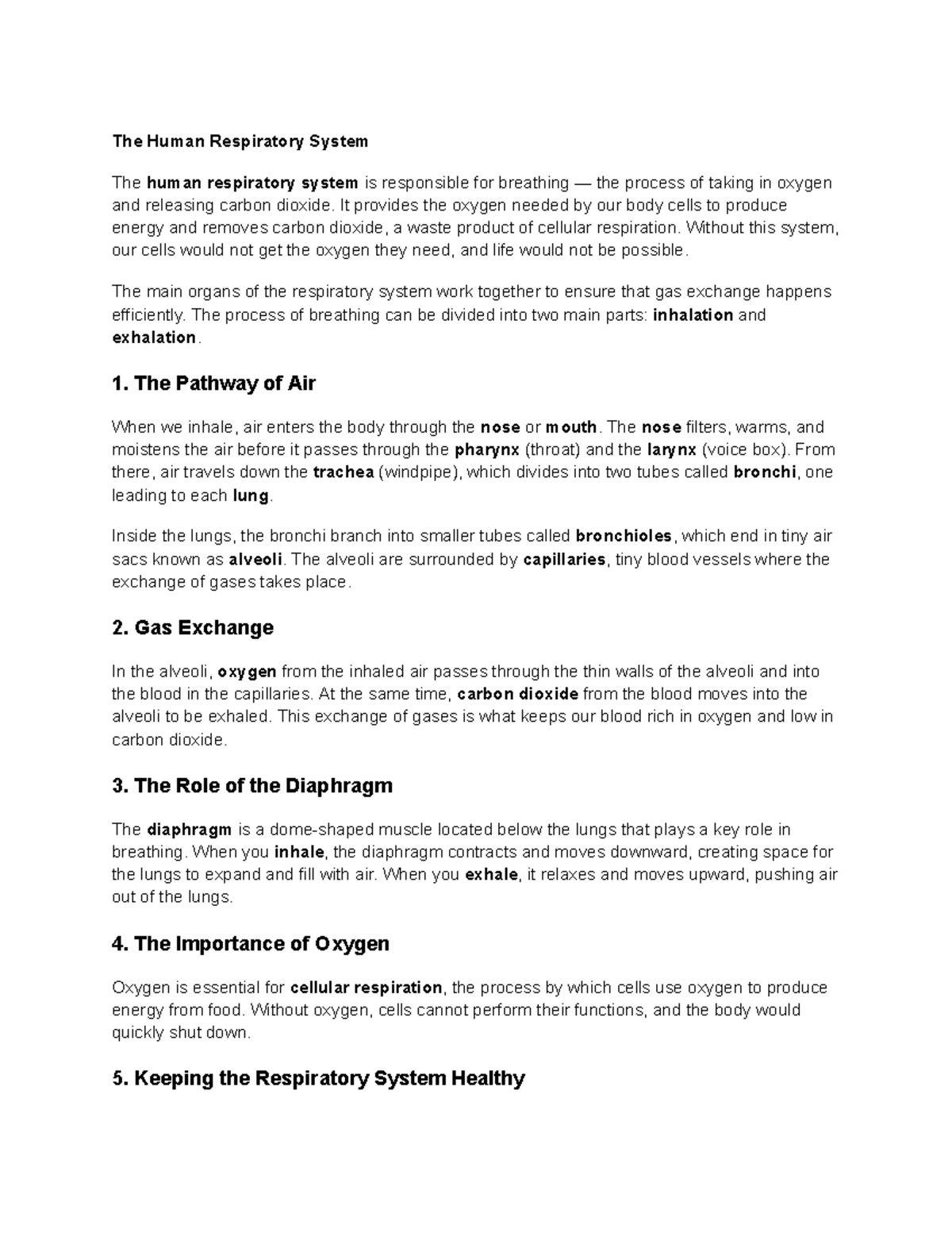 The Human Respiratory System: Structure and Function Overview - Studocu