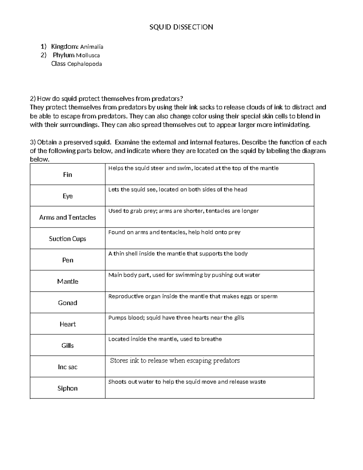 Squid Dissection Worksheet - Detailed Study of Cephalopoda Anatomy ...