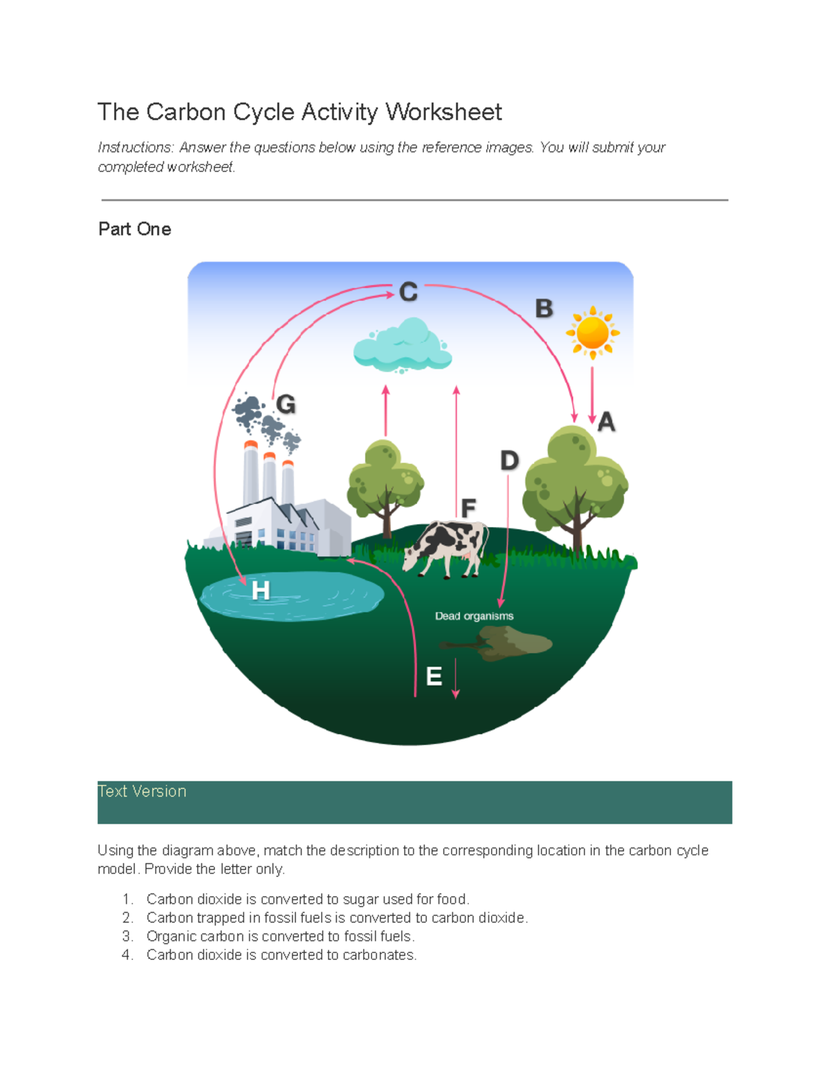 The Carbon Cycle Activity Worksheet - The Carbon Cycle Activity ...