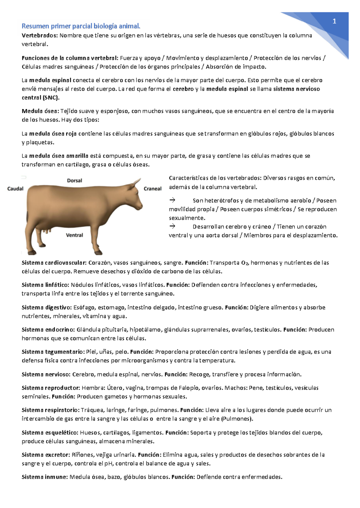 Resumen Primer Parcial Biología Animal - III - Studocu