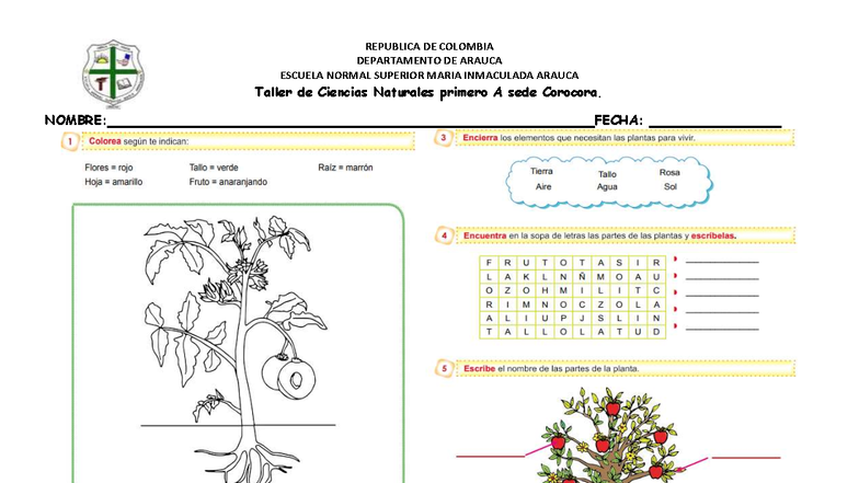 Taller de Repaso en Ciencias Naturales y Matemáticas - 1A - Studocu