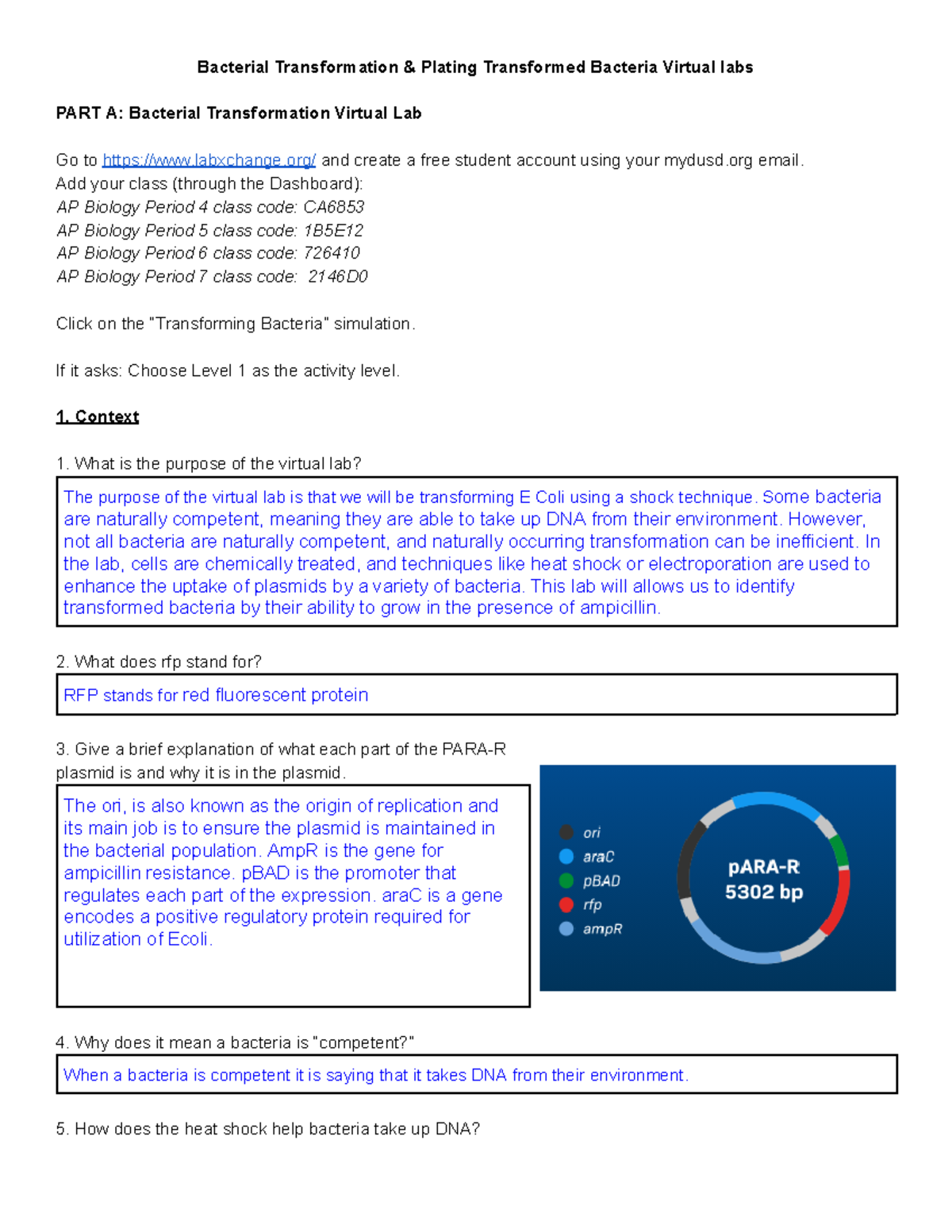 AP Biology Virtual Pre-lab: Bacterial Transformation & Plating Lab ...
