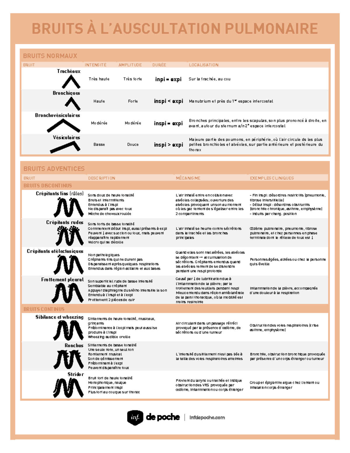 Lung Sounds Study Notes: Normal and Adventitious Breathing Patterns ...