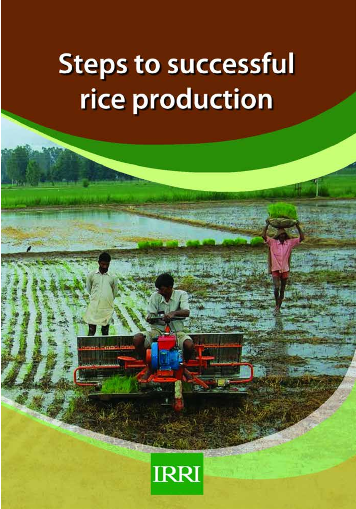 12 Essential Steps for Successful Rice Production (28 IRRI Manual ...