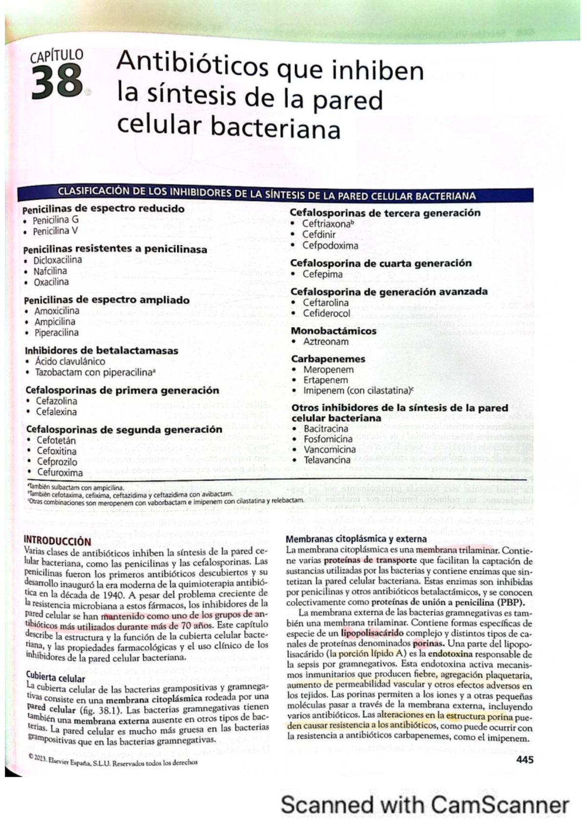 CAPÍTULO 38: Antibióticos que Inhiben la Síntesis de la Pared Celular ...
