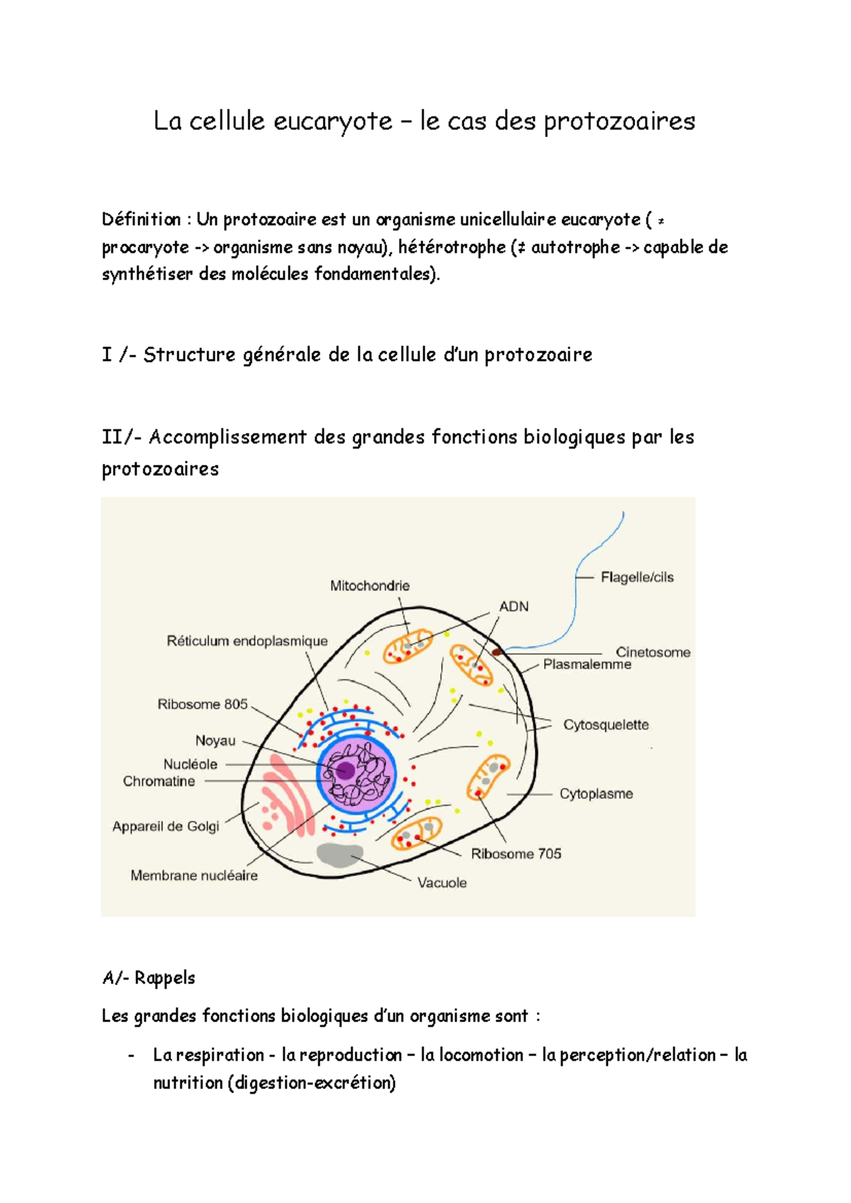 BOA - Chapitre 1 : La Cellule Eucaryote et les Protozoaires - Studocu