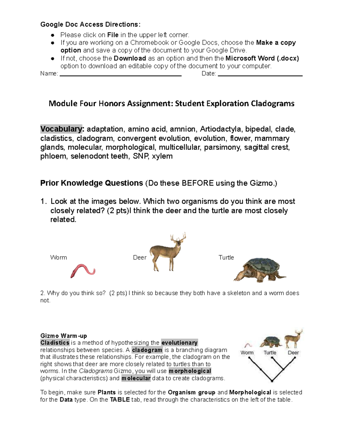 Module 4 Honors Assignment: Student Exploration of Cladograms - Studocu