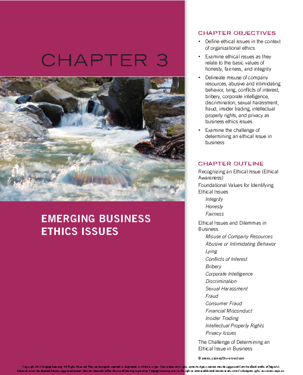 BUSINESS ETHICS - CHAPTER 3 EMERGING BUSINESS ETHICS ISSUES CHAPTER ...