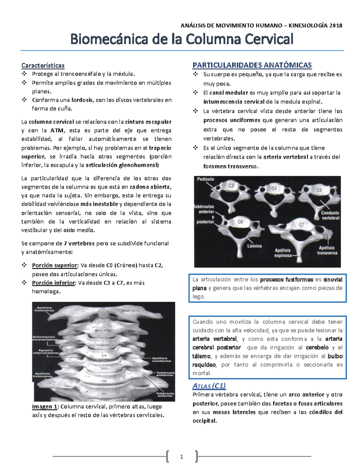 Biomecánica de la Columna Cervical - Estudio de Características y Movimientos - Studocu