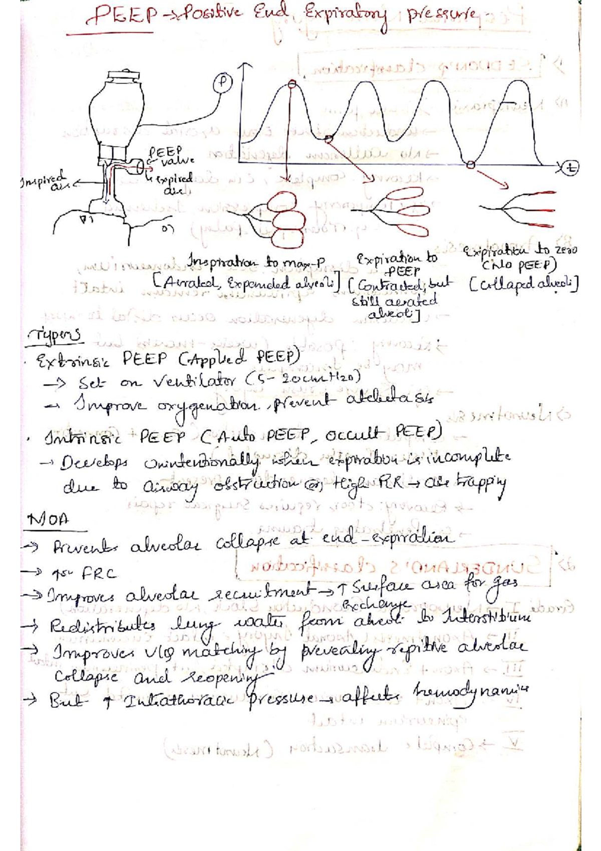 PEEP (Positive End Expiratory Pressure) Study Material for Ventilation ...