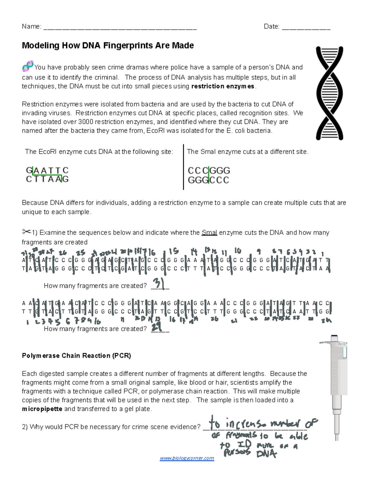 DNA Fingerprinting Techniques for Crime Scene Analysis (BIO 101) - Name ...