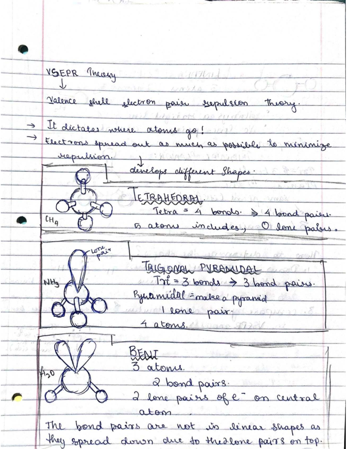 VSEPR Theory: Electron Pair Shapes & Bonding Notes (91425) - Studocu
