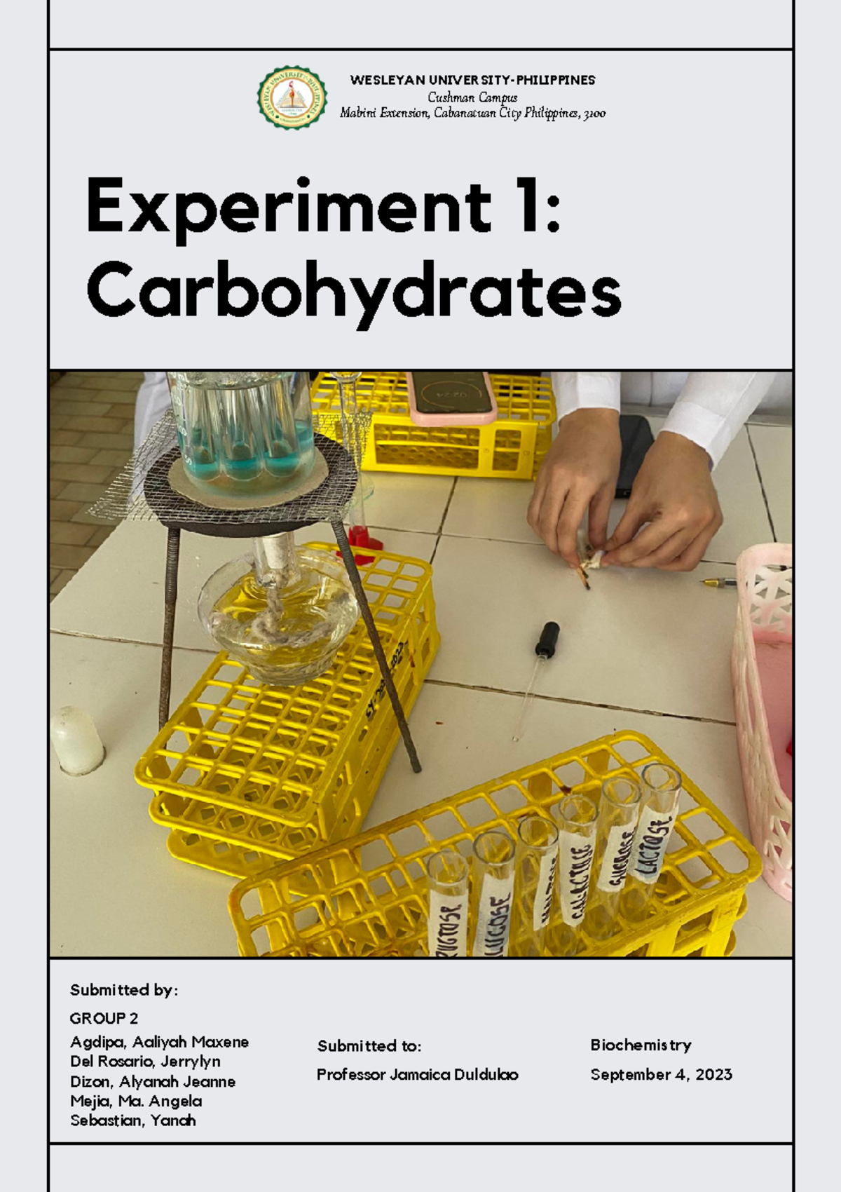 Biochemistry Lab Report: Carbohydrate Properties Investigation - Studocu